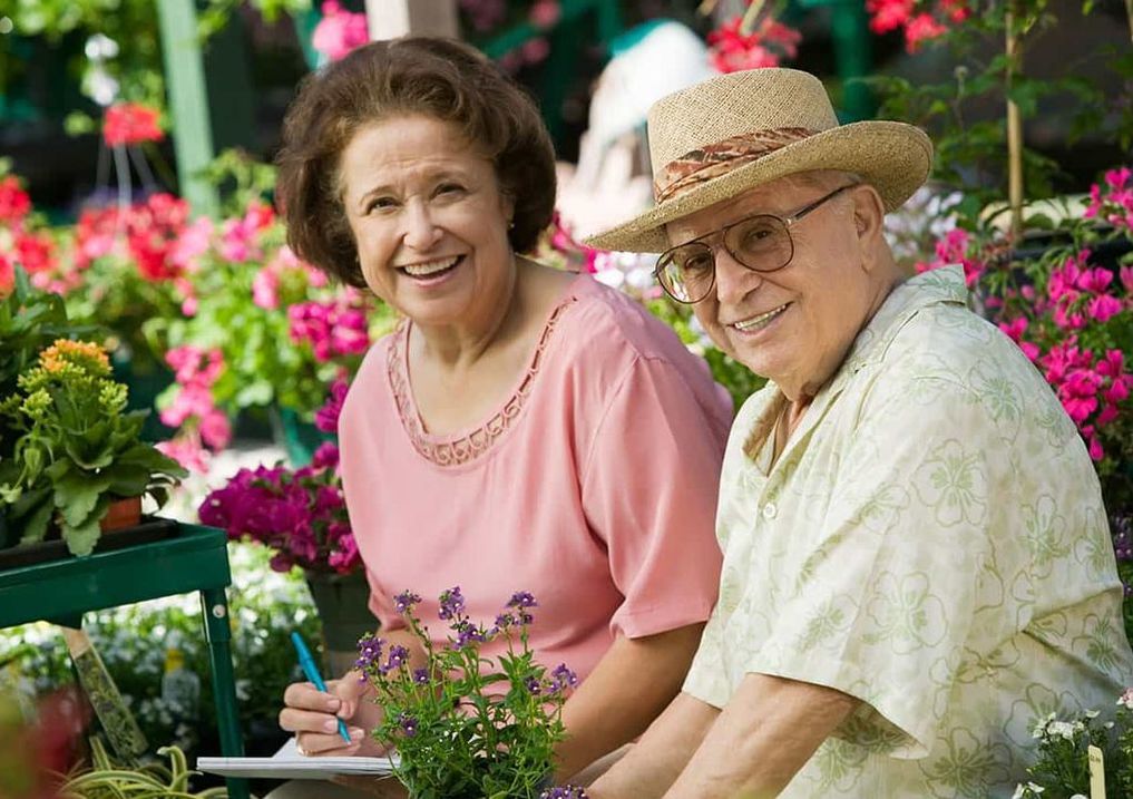 Premier Health Insurance Consulting - Independent Insurance Agency